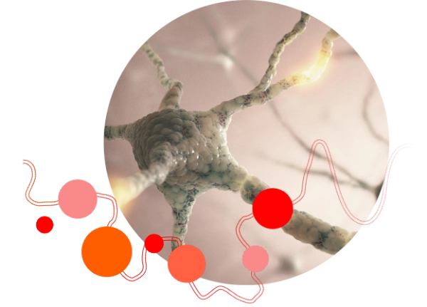 Prurigo Nodularis: cos'è e quali sono i sintomi| Dermatopia